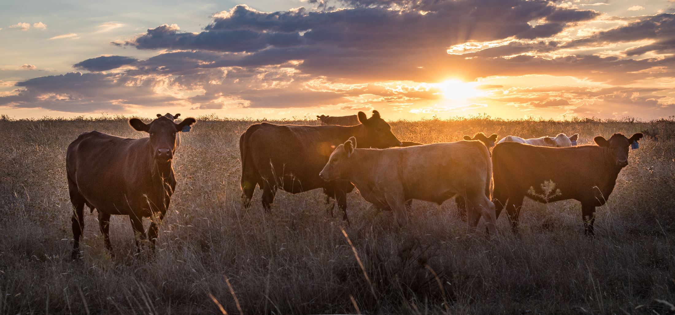 Vernon, TX - Official Website | Official Website